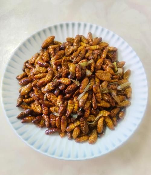 连续吃蚕蛹一个月会怎样_蚕蛹每天吃多少合适-第1张图片-山城妙识 连续吃蚕蛹一个月会怎样_蚕蛹每天吃多少合适-第1张图片-山城妙识
