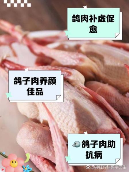 鸽子肉为什么不能吃_鸽子肉禁忌人群-第1张图片-山城妙识 鸽子肉为什么不能吃_鸽子肉禁忌人群-第1张图片-山城妙识