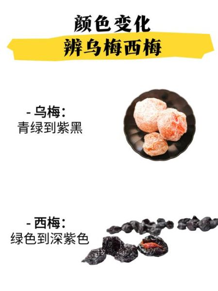 药用乌梅和食用乌梅的区别_如何区分-第2张图片-山城妙识 药用乌梅和食用乌梅的区别_如何区分-第2张图片-山城妙识