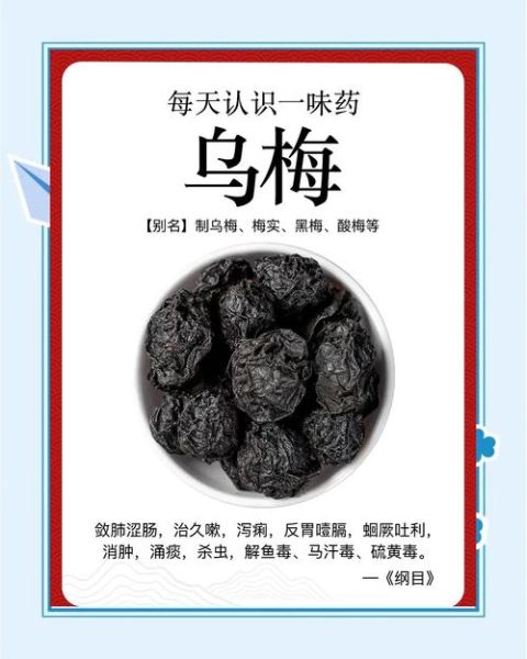 药用乌梅和食用乌梅的区别_如何区分-第1张图片-山城妙识 药用乌梅和食用乌梅的区别_如何区分-第1张图片-山城妙识