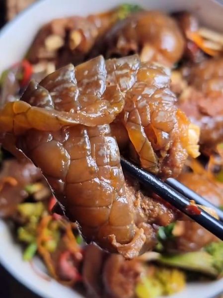 鳄鱼肉怎么做_鳄鱼肉怎么做好吃-第2张图片-山城妙识