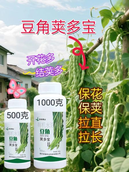 豆荚菜下载安装教程_豆荚菜怎么用-第1张图片-山城妙识
