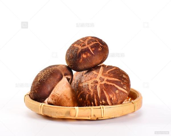 香菇视频怎么下载_香菇视频安全吗-第3张图片-山城妙识