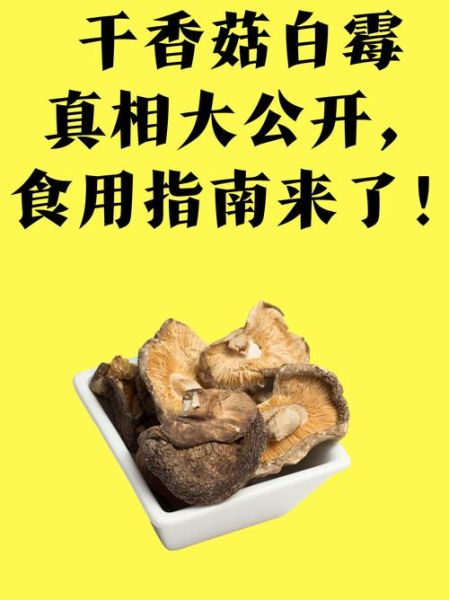 香菇视频怎么下载_香菇视频安全吗-第2张图片-山城妙识