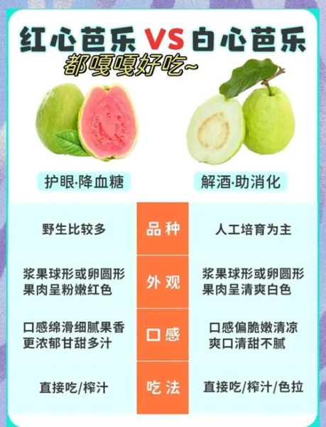 白心芭乐的功效与作用_白心芭乐怎么吃最营养-第2张图片-山城妙识