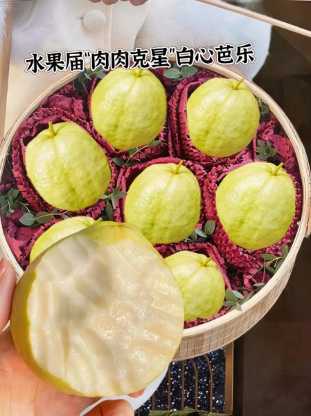 白心芭乐的功效与作用_白心芭乐怎么吃最营养-第3张图片-山城妙识