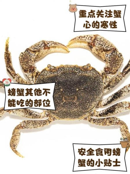 螃蟹哪些部位能吃_哪些部位不能吃-第2张图片-山城妙识