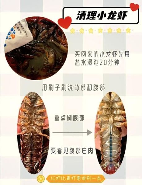 龙虾怎么处理比较干净_龙虾清洗步骤详解-第1张图片-山城妙识 龙虾怎么处理比较干净_龙虾清洗步骤详解-第1张图片-山城妙识