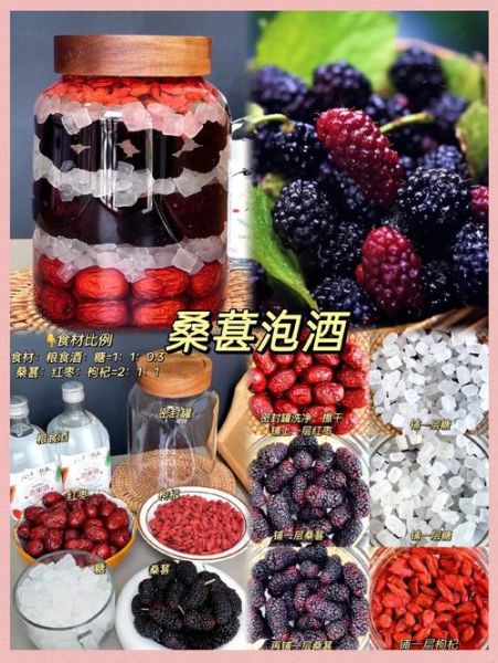 自制桑葚酒的做法_桑葚酒发酵多久能喝-第2张图片-山城妙识