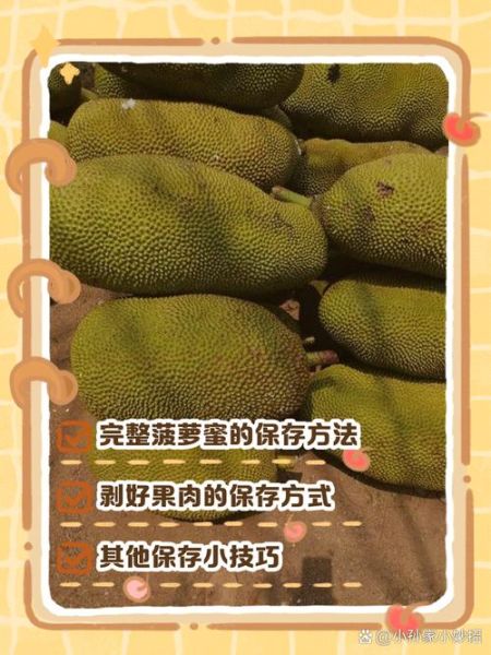 剥好的菠萝蜜怎么保存_能放几天-第1张图片-山城妙识 剥好的菠萝蜜怎么保存_能放几天-第1张图片-山城妙识