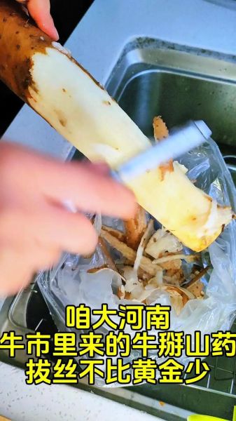 拔丝山药怎么做_家常拔丝山药的做法窍门-第1张图片-山城妙识 拔丝山药怎么做_家常拔丝山药的做法窍门-第1张图片-山城妙识