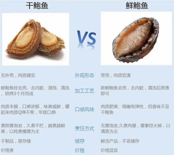 鲍鱼是鱼吗_鲍鱼属于什么动物-第1张图片-山城妙识