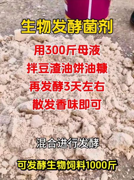 龙虾吃什么_龙虾饲料怎么选-第1张图片-山城妙识 龙虾吃什么_龙虾饲料怎么选-第1张图片-山城妙识