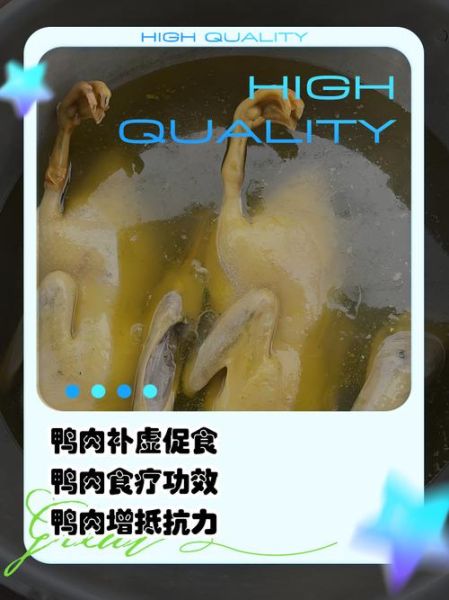 鸭肉的功效与作用及禁忌_什么人不能吃鸭肉-第1张图片-山城妙识