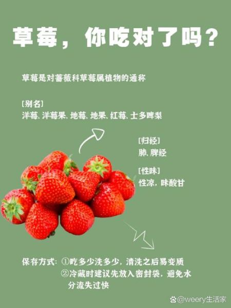 草莓的功效与作用_吃草莓会上火吗-第1张图片-山城妙识