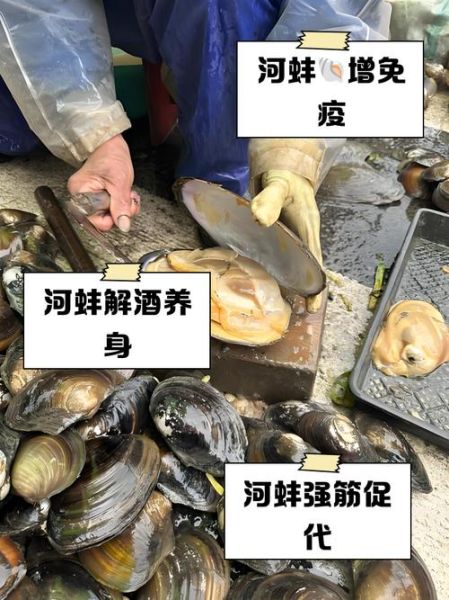 河蚌肉怎么煮不烂_河蚌肉不烂的原因-第2张图片-山城妙识