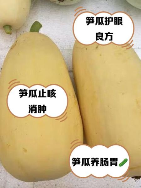 笋瓜和南瓜的区别_笋瓜怎么做好吃-第1张图片-山城妙识