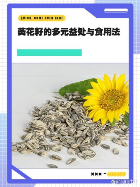 葵花子的功效与作用及禁忌_哪些人不能吃-第3张图片-山城妙识