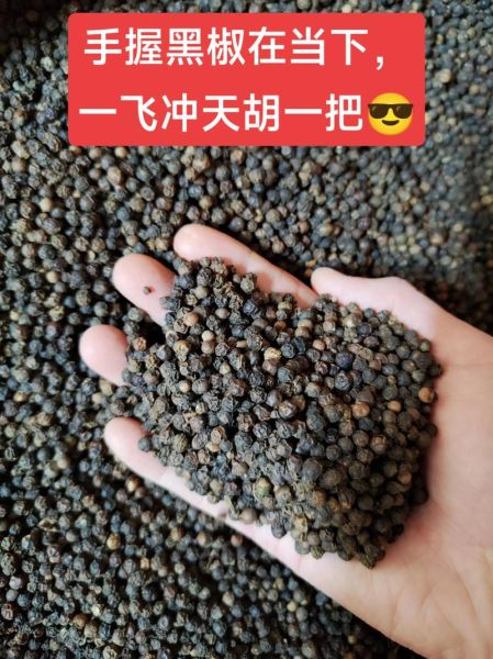 黑胡椒价格最新行情_黑胡椒为什么涨价-第1张图片-山城妙识