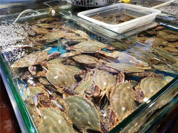 三眼蟹为什么便宜_三眼蟹和梭子蟹价格差多少-第3张图片-山城妙识 三眼蟹为什么便宜_三眼蟹和梭子蟹价格差多少-第3张图片-山城妙识