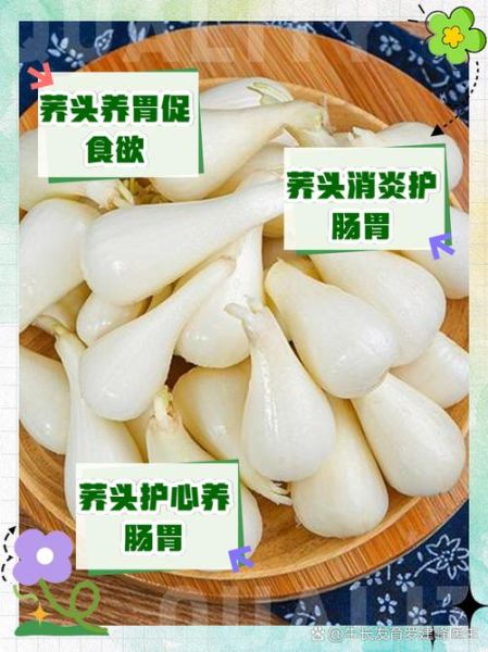 荞头有什么功效与作用_荞头怎么吃最营养-第3张图片-山城妙识 荞头有什么功效与作用_荞头怎么吃最营养-第3张图片-山城妙识