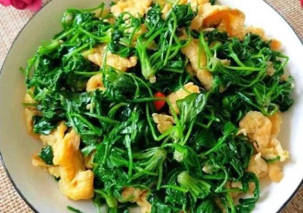 凉拌灰灰菜怎么做_灰灰菜焯水几分钟-第1张图片-山城妙识