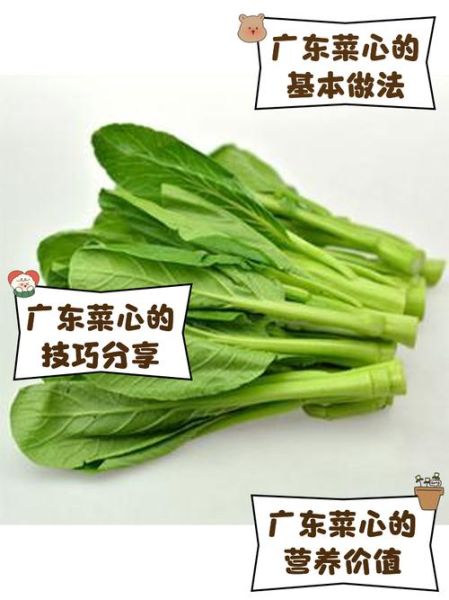 菜心品种哪种最好吃_广东人最爱哪一款-第2张图片-山城妙识
