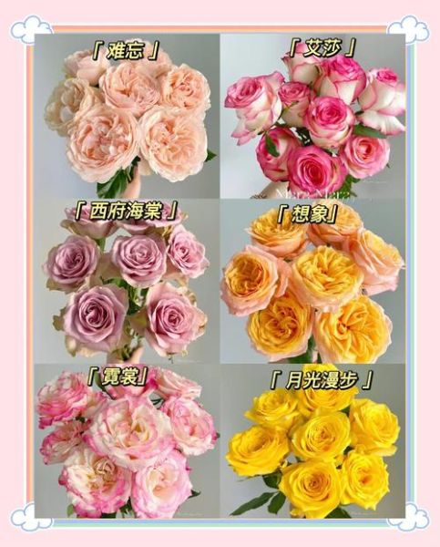 玫瑰花有哪些品种_如何养护玫瑰花-第2张图片-山城妙识 玫瑰花有哪些品种_如何养护玫瑰花-第2张图片-山城妙识