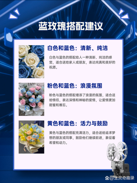 蓝玫瑰花语是什么_蓝玫瑰适合送谁-第2张图片-山城妙识