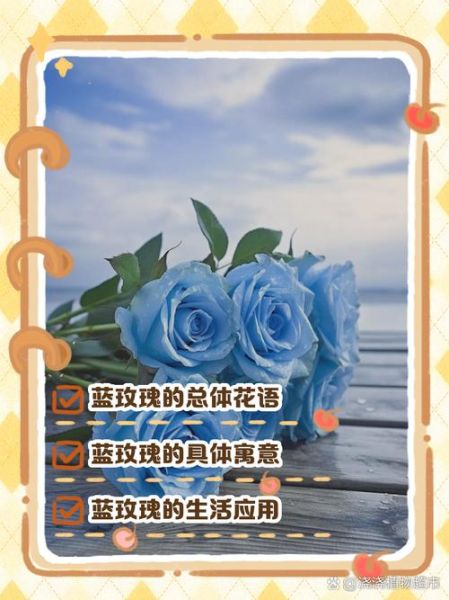 蓝玫瑰花语是什么_蓝玫瑰适合送谁-第1张图片-山城妙识
