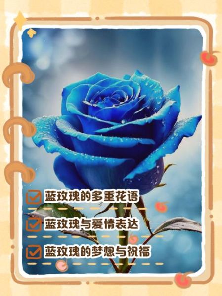 蓝玫瑰花语是什么_蓝玫瑰适合送谁-第3张图片-山城妙识