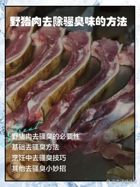 野猪肉怎么做好吃_野猪肉去腥做法-第1张图片-山城妙识 野猪肉怎么做好吃_野猪肉去腥做法-第1张图片-山城妙识