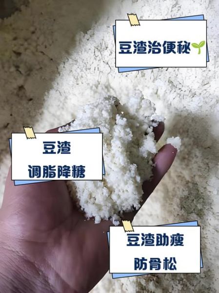豆渣减肥还是增肥_豆渣热量高吗-第1张图片-山城妙识