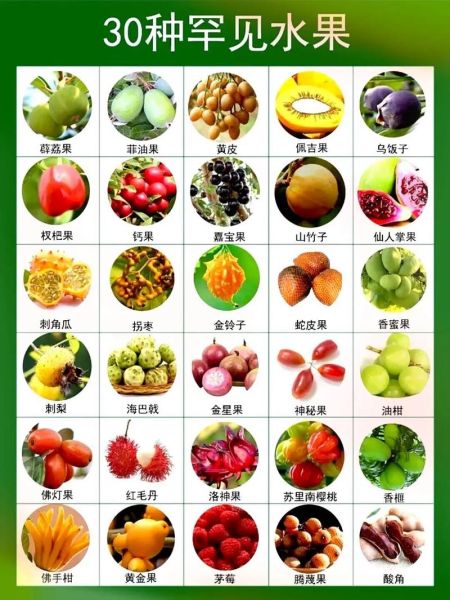 70种水果图片大全_哪些水果营养价值最高-第3张图片-山城妙识
