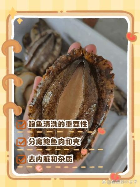 鲍鱼怎么清洗_鲍鱼清洗方法视频教程-第2张图片-山城妙识