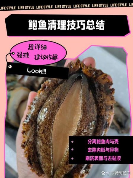 鲍鱼怎么清洗_鲍鱼清洗方法视频教程-第3张图片-山城妙识