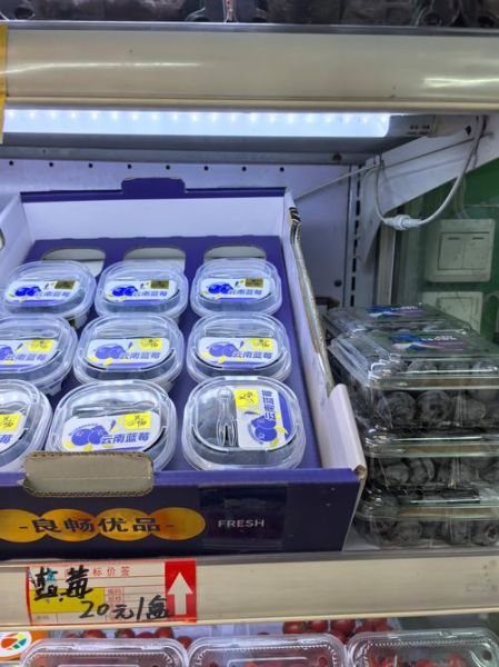 莲雾价格多少钱一斤_莲雾为什么这么贵-第1张图片-山城妙识