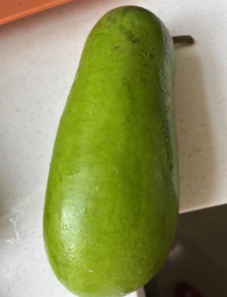 瓠子中间的籽要去掉吗_瓠子籽能吃吗-第2张图片-山城妙识