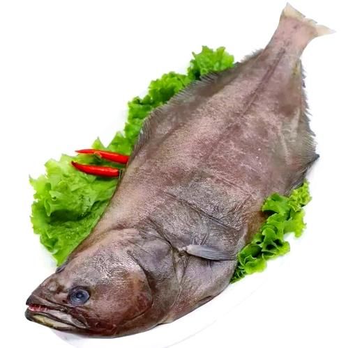 鸦片鱼多少钱一斤_鸦片鱼最新价格行情-第3张图片-山城妙识