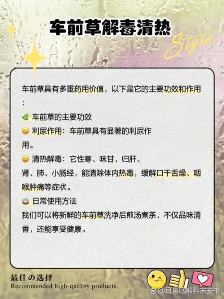 车前草治痛风有效吗_车前草降尿酸用法-第1张图片-山城妙识