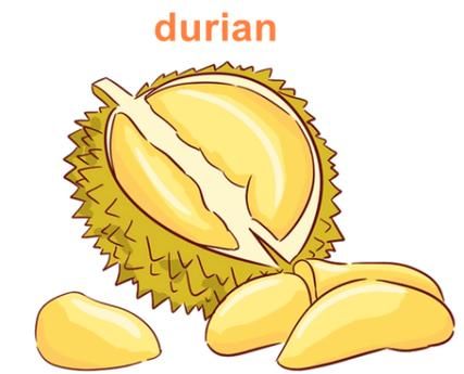 榴莲英语怎么说_榴莲英文发音怎么读-第1张图片-山城妙识 榴莲英语怎么说_榴莲英文发音怎么读-第1张图片-山城妙识