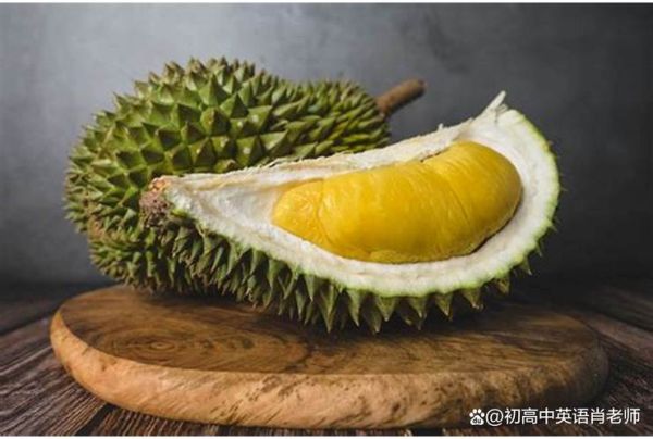 榴莲英语怎么说_榴莲英文发音怎么读-第2张图片-山城妙识 榴莲英语怎么说_榴莲英文发音怎么读-第2张图片-山城妙识