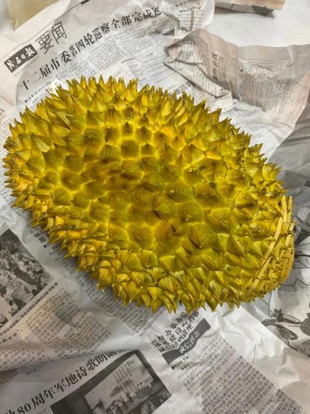 榴莲英语怎么说_榴莲英文发音怎么读-第3张图片-山城妙识 榴莲英语怎么说_榴莲英文发音怎么读-第3张图片-山城妙识