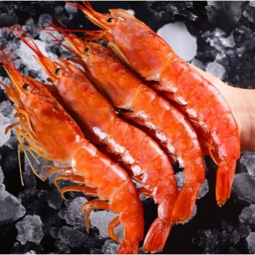 阿根廷红虾刺身怎么做_阿根廷红虾刺身安全吗-第2张图片-山城妙识 阿根廷红虾刺身怎么做_阿根廷红虾刺身安全吗-第2张图片-山城妙识