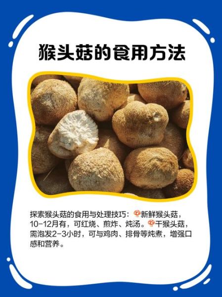 鲜猴头菇怎么做好吃_鲜猴头菇的家常做法-第2张图片-山城妙识 鲜猴头菇怎么做好吃_鲜猴头菇的家常做法-第2张图片-山城妙识