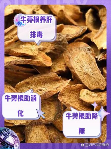 牛蒡的功效与作用禁忌_什么人不能吃牛蒡-第3张图片-山城妙识