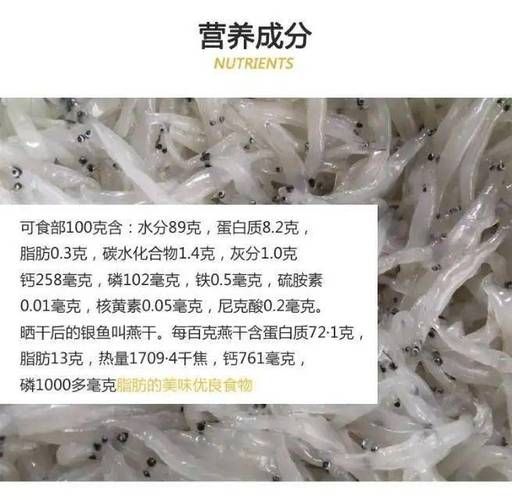 银鱼价格多少钱一斤_银鱼为什么这么贵-第1张图片-山城妙识 银鱼价格多少钱一斤_银鱼为什么这么贵-第1张图片-山城妙识