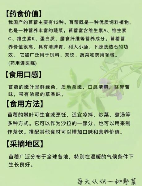 苜蓿怎么吃好吃_苜蓿有哪些家常做法-第2张图片-山城妙识