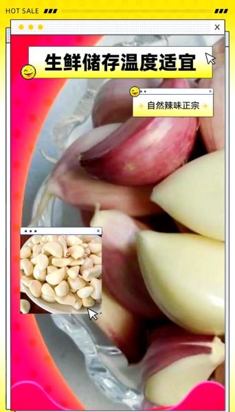 山东金乡大蒜论坛_如何挑选优质蒜种-第3张图片-山城妙识 山东金乡大蒜论坛_如何挑选优质蒜种-第3张图片-山城妙识