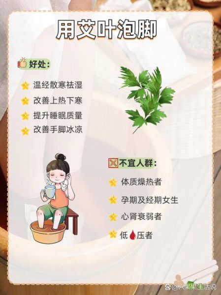 艾叶泡脚的功效与作用_艾叶可以天天用吗-第1张图片-山城妙识